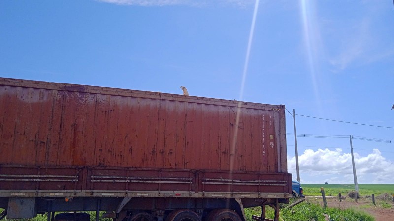Leilão Online - Container 12 metros, c/ teto aberto