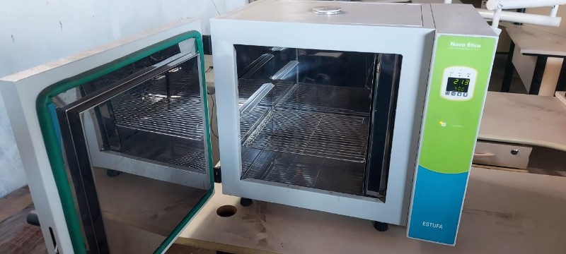 Leilão Online | Estufa Nova Etica