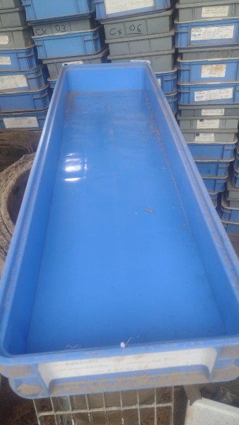 Leilão Online - Caixas organizadoras - 50 caixas