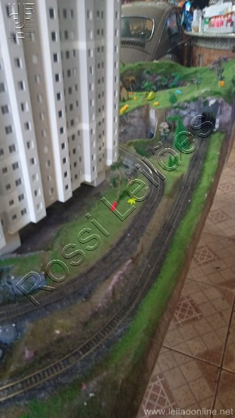 Leilão Online - [ VÍDEO ] MAQUETE FERRORAMA PROFISSIONAL, ELÉTRIC