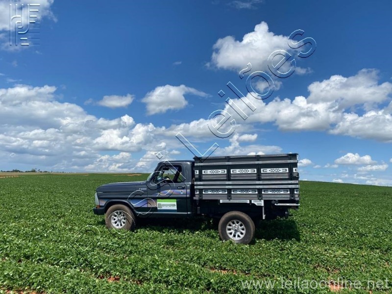 Leilão Online - FORD / F1000 SS ANO 1990/1990 - DIESEL -CARROCERIA A