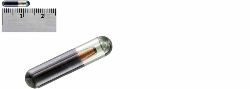 Leilão Online - Lote com: 500 unidades de Microtransponder Trovan Id