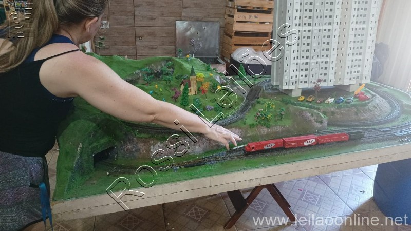 Leilão Online - [ VÍDEO ] MAQUETE FERRORAMA PROFISSIONAL, ELÉTRIC