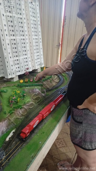 Leilão Online - [ VÍDEO ] MAQUETE FERRORAMA PROFISSIONAL, ELÉTRIC