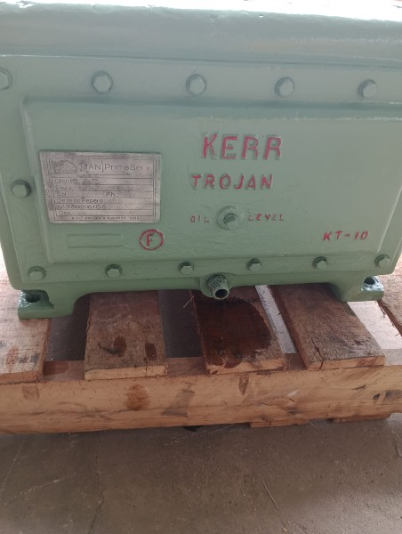 Leilão Online - BOMBA TRIPLEX KERR K 3350 - Atuação intermitente