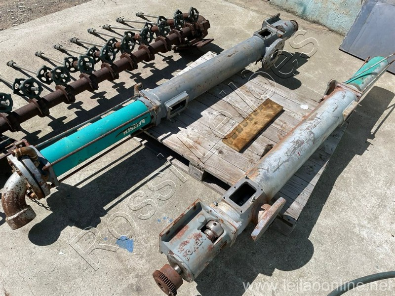 Leilão Online - [ VÍDEO ] 02 (duas) BOMBAS Helicoidal Nemo Netzsch 4