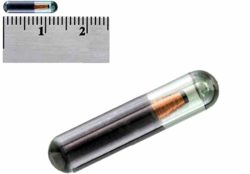 Leilão Online - Lote com: 1.000 unid. Microtransponder - Marca: Rugg